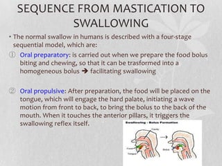 Coordination of mastication, swallowing and breathing | PPTX