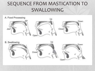 Coordination of mastication, swallowing and breathing | PPTX