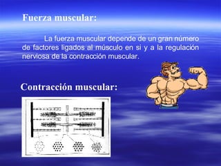 Fisiología Muscular | PPT