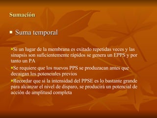 FisiologíA Neuronal. Sinapsis | PPT
