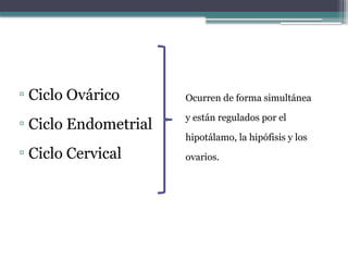 Unidad 7: Fisiología del Aparato Reproductor | PPTX