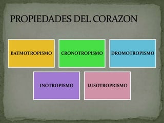 Fisiología básica cardiaca | PPTX