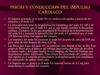 Fisiología cardiovascular | PPT