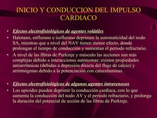 Fisiología cardiovascular | PPT