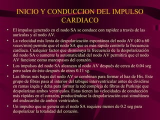 Fisiología cardiovascular en el ser humano | PPT