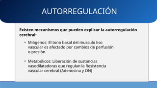 Fisiología cerebral-realizado por residentes de anestesiologia | PPTX