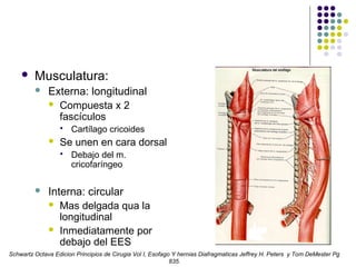 Fisiología de faringe y esófago | PPT