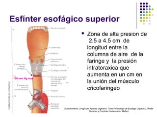 Fisiología de faringe y esófago | PPT
