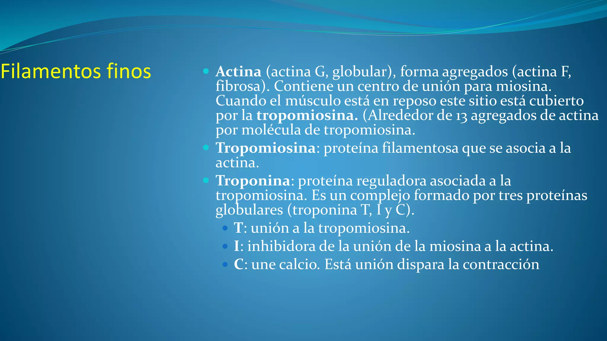 Fisiología de la Contracción | PPTX