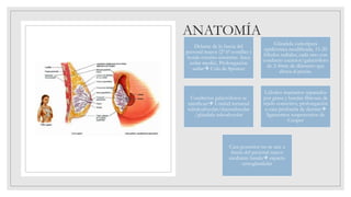 fisiología de lactancia materna.pptx