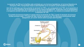Fisiología de la glándula tiroides.pptx
