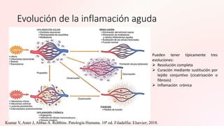 FISIOLOGÍA DE LA INFLAMACIÓN.pptx