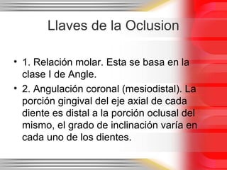 Fisiología de la oclusión | PPT