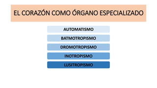 FISIOLOGÍA DEL APARATO CARDIOVASCULAR.pptx