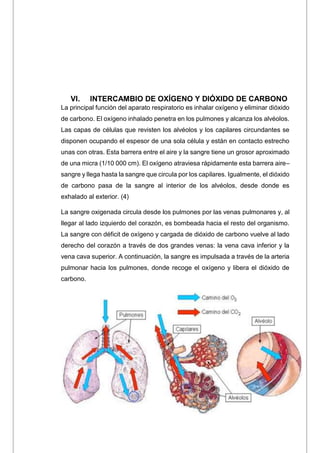 FISIOLOGÍA DEL APARATO RESPIRATORIO (4) (1).docx
