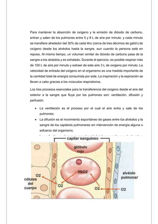 FISIOLOGÍA DEL APARATO RESPIRATORIO (4) (1).docx