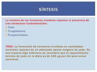 Fisiología de las hormonas tiroideas | PPTX