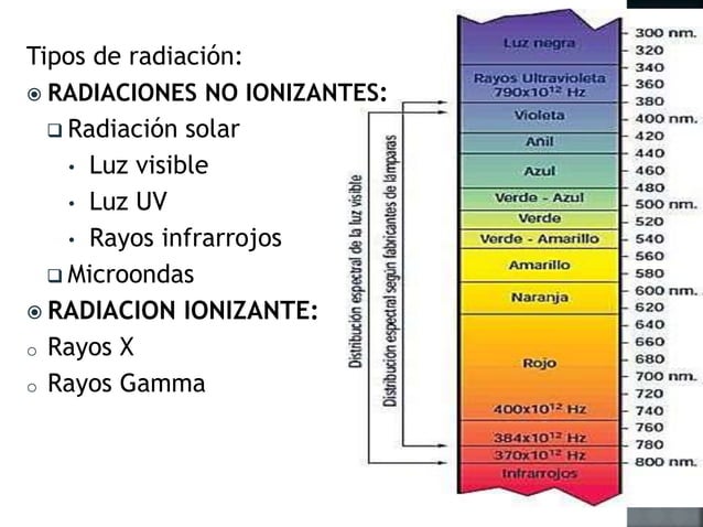 Fisiología De Las Plantas Frente A La Radiación Para Expo Pptx