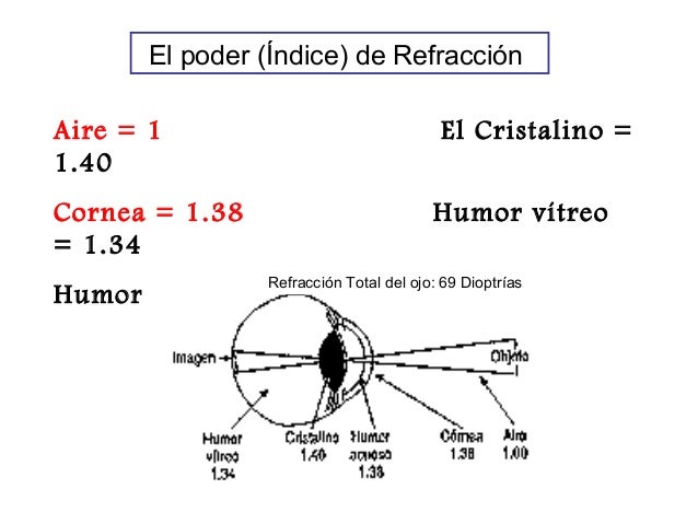 Fisiología de la visión