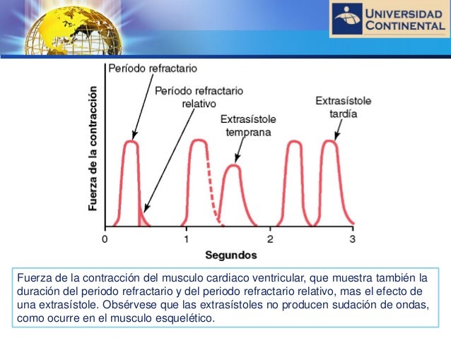 MUSCULO CARDÍACO: El corazón como bomba y la función de las válvulas ...