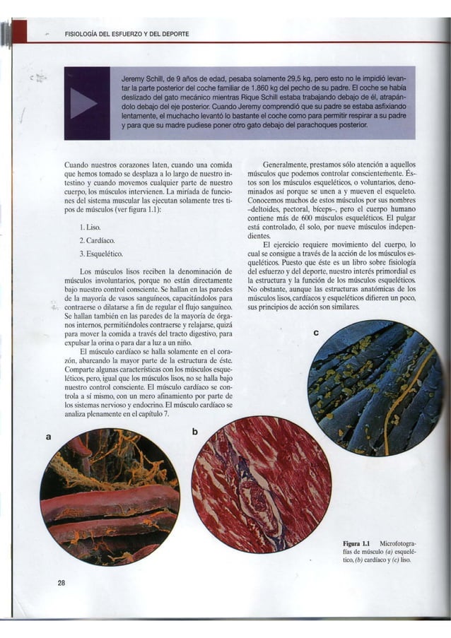 Fisiología del esfuerzo y del deporte 5ª edición (Willmore y Costill) Fisiología del esfuerzo y del deporte 5ª edición (Willmore y Costill)