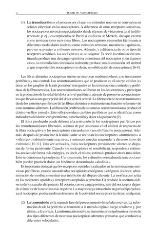 Fisiología del dolor | PDF