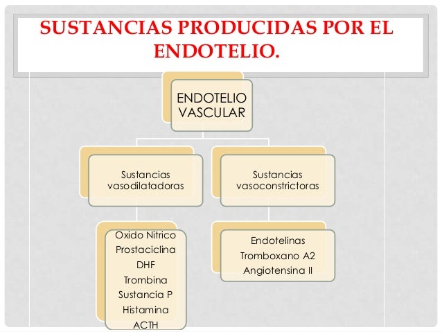 Fisiología del endotelio.