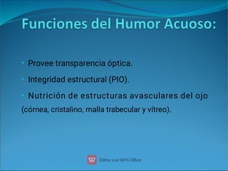 FISIOLOGÍA DEL HUMOR ACUOSO oftalmologia .pdf