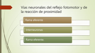 Fisiología del iris y pupila.pptx