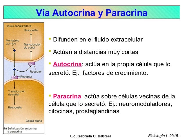 Fisiología del Sistema endócrino