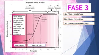 Fisiología del trabajo de parto......... | PPTX