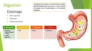 Fisiología Del Aparato Digestivo, funciones generales | PPTX