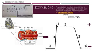 Potencial de Acción Transmembrana del miocardiocito. | PPTX