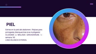 Fisiología embarazo, ginecología y obstetricia | PPT