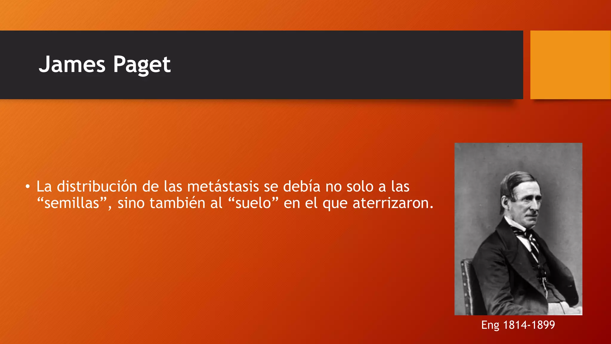 Fisiología (Lobulillo pulmonar secundario, espacio alveolar.pptx