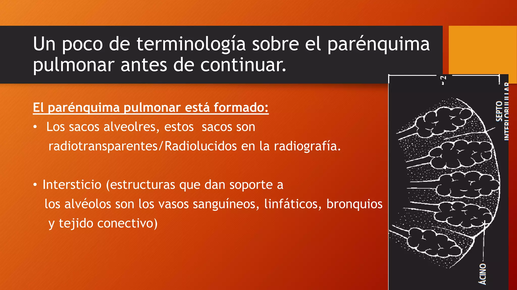 Fisiología (Lobulillo pulmonar secundario, espacio alveolar.pptx