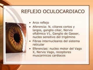 Fisiología ocular y complicaciones bloqueos perioculares | PPTX
