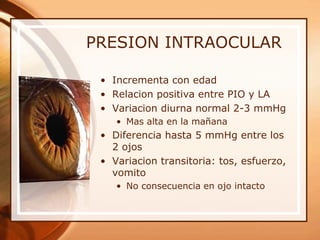 Fisiología ocular y complicaciones bloqueos perioculares | PPTX