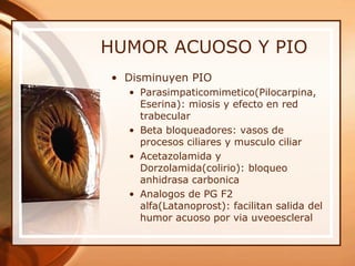 Fisiología ocular y complicaciones bloqueos perioculares | PPTX