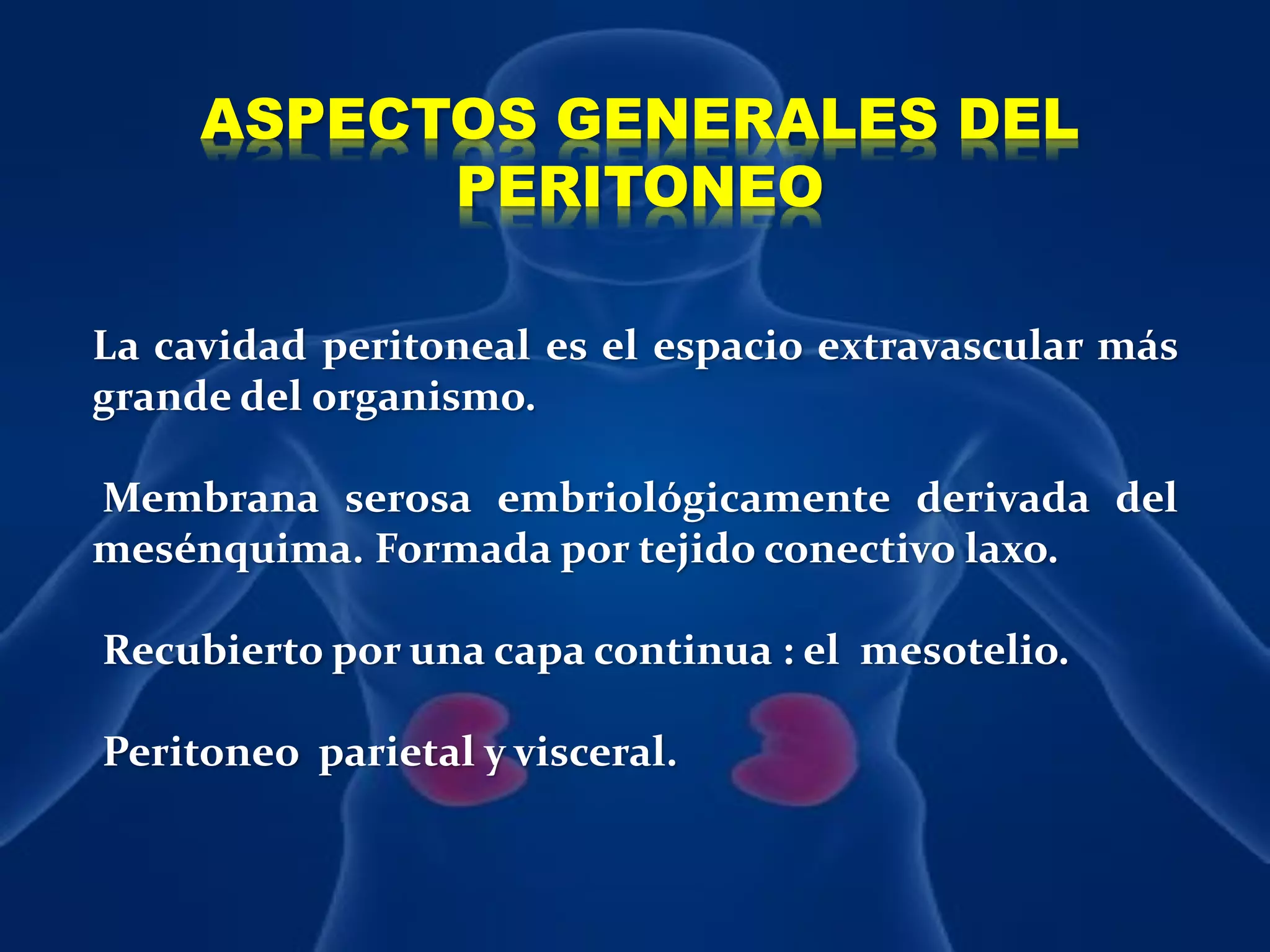 Fisiologia peritoneal | PPTX