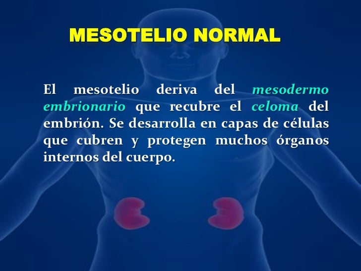 Fisiología peritoneal