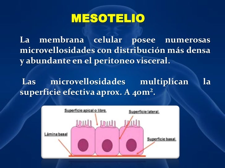 Fisiología peritoneal