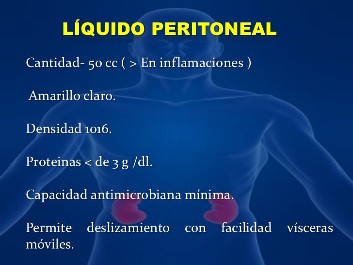 Líquido Peritoneal: Qué Es, Composición, Funciones, Cultivo, Análisis ...