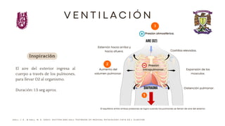 Fisiología Pulmonar Trabajo para clase.pdf