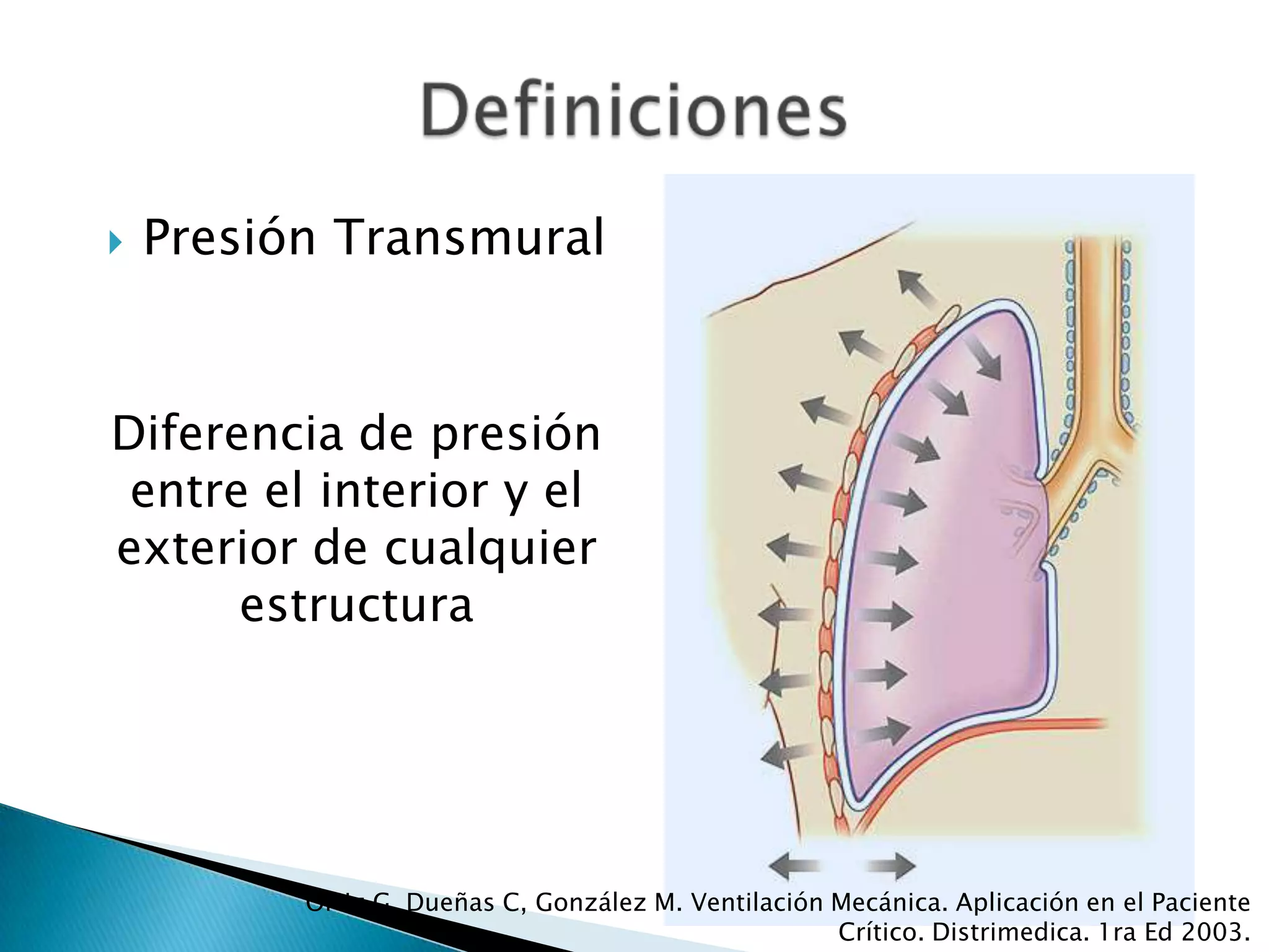 Fisiología pulmonar aplicada a la ventilación mecánica | PPTX