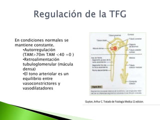 Fisiología renal | PPTX