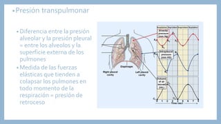 Fisiología respiratoria.pptx dhtic | PPTX