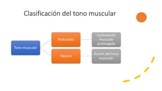 Fisiología y anomalías del tono muscular.pptx