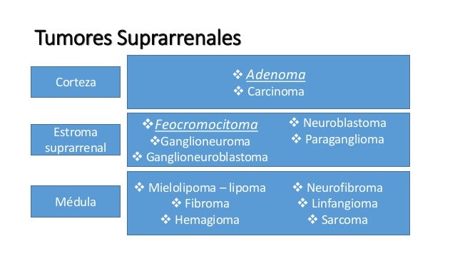 Fisiología y tumores suprarrenales