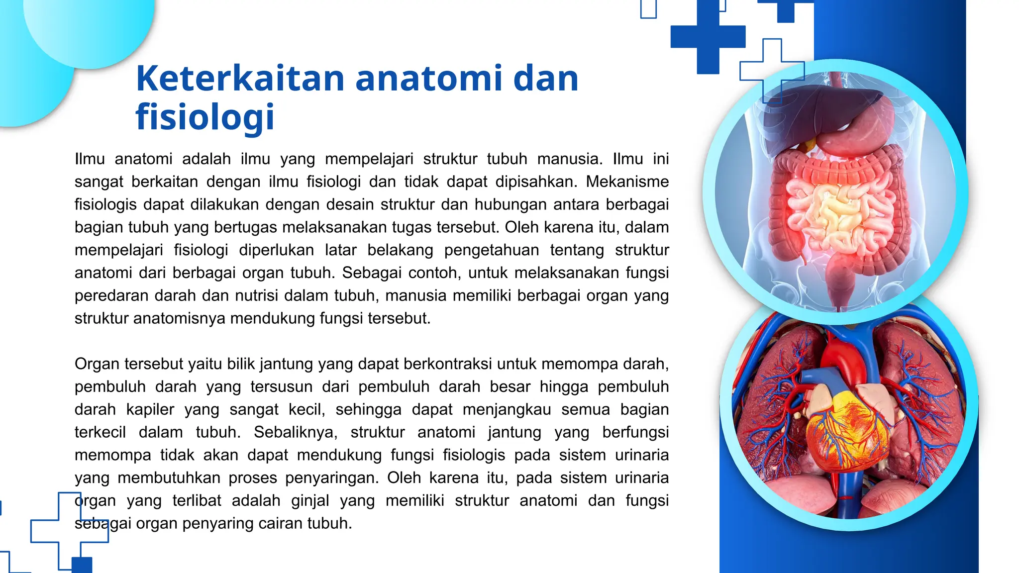 Fisiologi organ tubuh manusia dan komponen di dalamnya .pptx